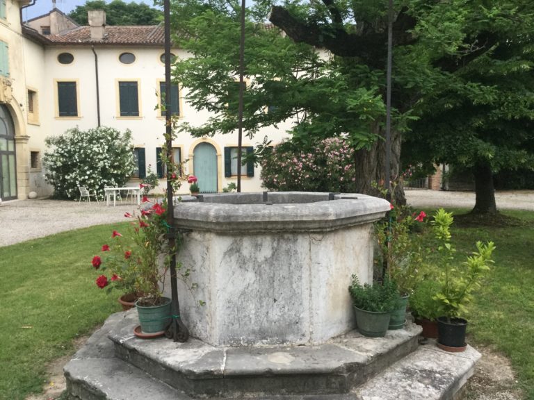 Presentato il rapporto dell’annata agricola 2024 in Veneto: fatturato ...